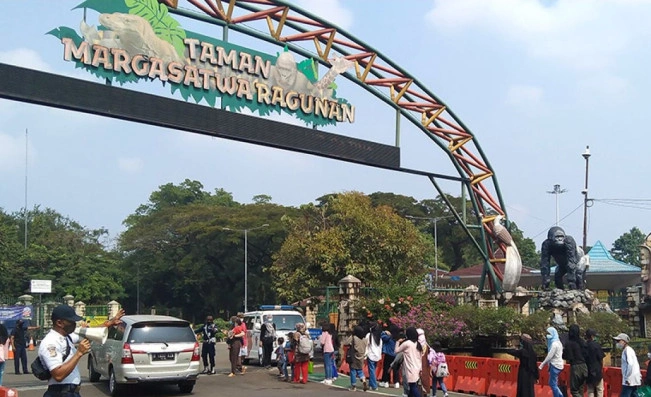 Awal Tahun 2026, Ragunan Diserbu Ratusan Ribu Pengunjung